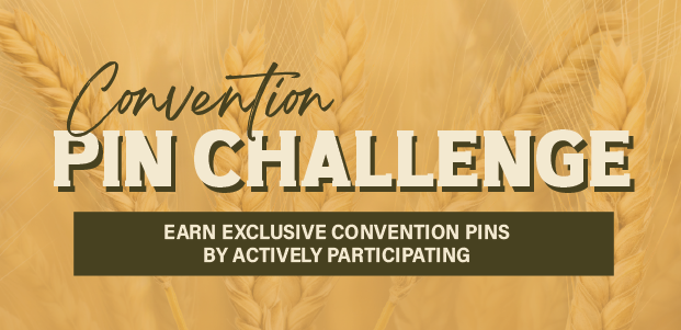 Pin Challenge